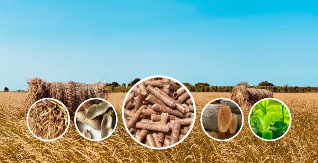 Biomass Pellet Production Line and Biomass Pellet Machine