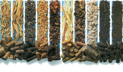 Process flow of the biomass pellet machine